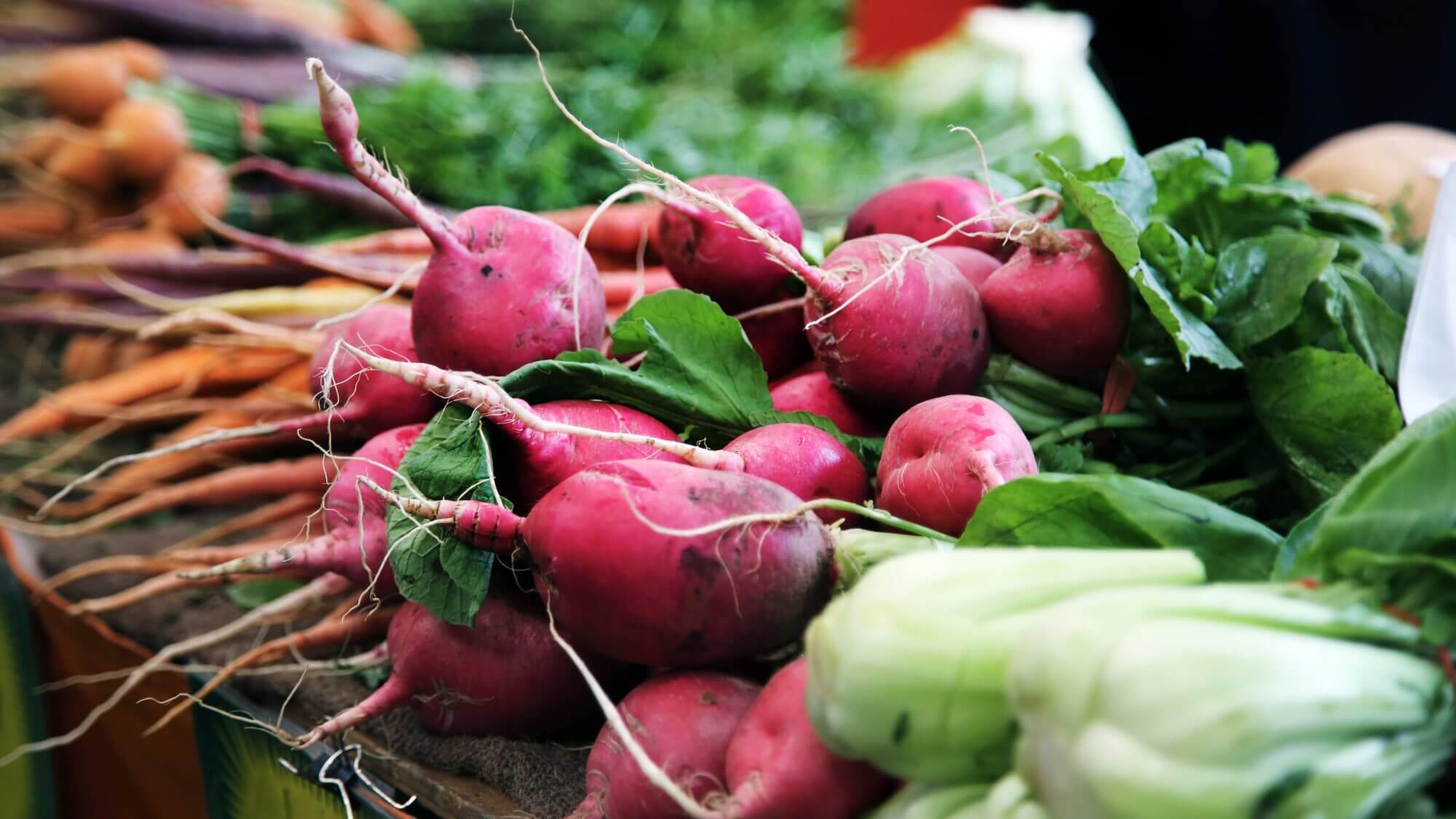 FD Healthy: It's Root Veggie Season! - First Descents