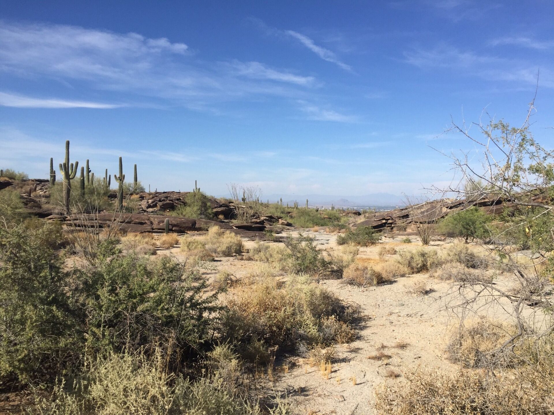 PHX Hiking - First Descents
